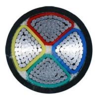 China Low Voltage Power Cable Copper/Aluminum Conductor 600/1000V Underground XLPE Cable Steel Wire for sale