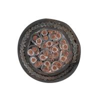 China Custom Multicore Cable Swa PVC PE XLPE Insulated Screened Armored Instrument Cable for sale