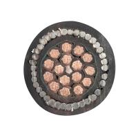 China Flexible Multicore Cable 450V/750V Swa PVC PE XLPE Insulated Screened Armoured Control Cable for sale