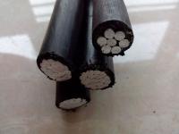 China Low Voltage ABC Cable A16mm Luminum Conductor XLPE Insualted ABC Overhead Cable for sale