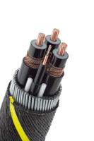 China Copper Conductor XLPE Insulated High Voltage AC 66kv Submarine Cable for sale