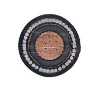 China LV Copper Conductor Underground XLPE Cable Steel Wire/Tape Armoured Power Cable for sale