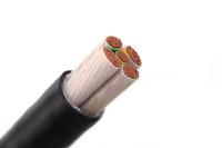 China Low Voltage Power Cable LV Single Copper Core PVC Induslated Cables 10 25 35 50mm2 for sale