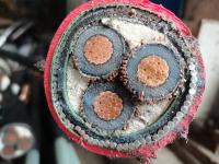 China Medium Voltage Power Cable 33kv N2xsy N2xsey Yjv32 Copper Conductor 3 Core XLPE Insulated Armored Power Electr for sale