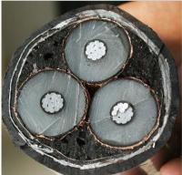 China Medium Voltage Power Cable IEC60502 BS6622 VDE N2xsery Yjv32 30kv Copper XLPE Insulated Swa Sta Armoured Cable Outdoor E for sale