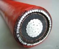 China Medium Voltage Power Cable IEC60502 BS6622 VDE N2xsery Yjv32 Aluminum XLPE Insulated Swa Sta Armoured Cable for sale