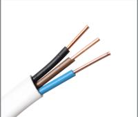 China High Quality Copper Flat TPS PVC Insulated Coated Electric Twin and Earth Wire for sale