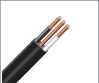 China High Quality Copper Flat TPS PVC Insulated Coated Electric Twin and Earth Wire for sale