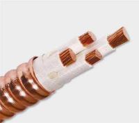 China 0.6/1kv Bttw/Yttw, Fire Resistant Cable Multi Cores Inorganic Mineral Insulated Corrugated Copper/LSZH for sale