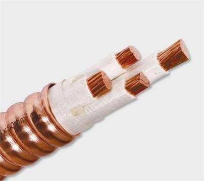 China 0.6/1kv Bttw/Yttw, Fire Resistant Cable Multi Cores Inorganic Mineral Insulated Corrugated Copper/LSZH for sale
