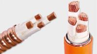 China 0.6/1kv Bttw/Yttw, Fire Resistant Cable Multi Cores Inorganic Mineral Insulated Corrugated Copper/LSZH for sale