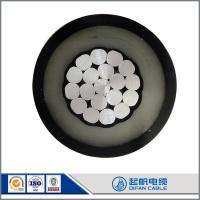 China Overhead AAC AAAC ACSR XLPE Insulation 15kv 25kv 35kv HDPE Sheath Aerial Tree Wire for sale