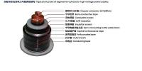 China Single-Core Copper/Aluminum XLPE High Voltage Cable with Lead Sheath Power Cable for sale