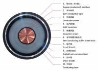 China Power Cable Copper Core XLPE Insulated Lead Sheath and PVC Outer Sheath High Voltage Ca for sale