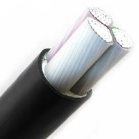 China Low Voltage Power Cable  Copper/Aluminum  Power Cable for sale