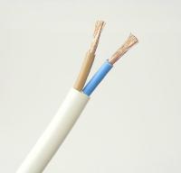 China 300/300V Flexible Wire Multicore 0.5mm2 0.75mm2 1.0mm2 H03VV-F Rvv Flexible Cable for sale