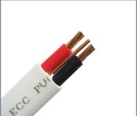 China Building Wire Cable  Copper Flat TPS PVC Insulated Coated Electric Wire Twin and Earth Wire for sale