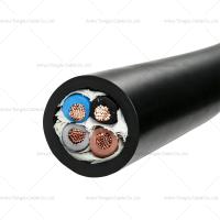China Stranded Copper 2 Core Flexible Cable Wire RVV 4x6.0mm2 PVC Flexible 300V 500V for sale