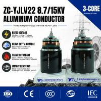 China XLPE Aluminum Power Cable YJLV22 3x50mm² 8.7/15kV Armored 3 Core MV for sale