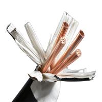 China ZC-YJV 4x50mm² Class C Flame Retardant XLPE Copper Power Cable for Building Distribution for sale