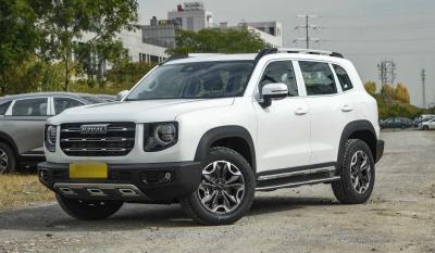 China Haval Big Dog 2.0T SUV Automatic Drive Top Belgian Malinois 4WD 5-Seat for sale