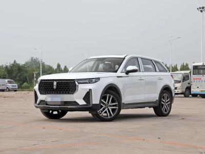 China Bestune T99 2022 2.0TD Auto Comfortable 5 Seats SUV 224HP 8AT Gasoline for sale