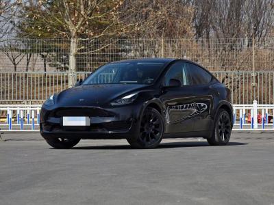China Tesla Model Y 2022 Performance High Function 4WD 615km EV SUV Car New for sale