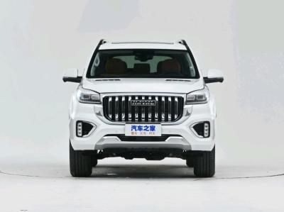 China HAVAL H9 2022 2.0T Gasoline 4WD SUV 5 Seats 7 Seats 8 Speed AT MT 4843mm for sale
