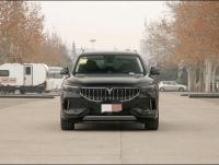 China VOYAH Free Middle Large EV SUV NEDC 505km Range 360 Camera for sale