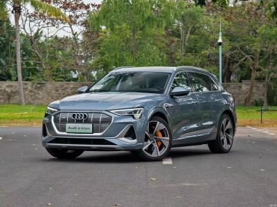 China Audi E-Tron 2021 50 Quattro Zhenxuan Edition 5 Seats Electric SUV 96.7kWh 230kW for sale