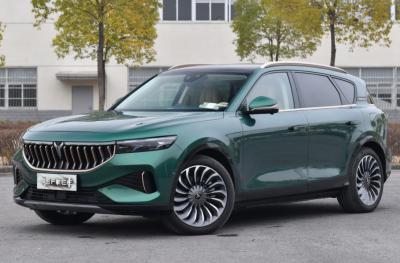 China VOYAH FREE 2021 4WD Extended Range SUV 510kW 1040Nm Luxury Set for sale