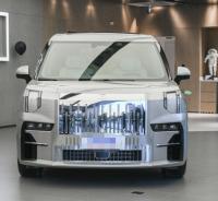 China ZEEKR 009 ME Version 2022 Luxury Electric MPV - 400kW Power, 6 Seats, 5209mm Length for sale