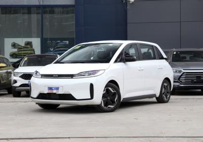 China BYD D1 2022 Standard Edition 5 Door 5 Seats MPV Pure Electric Car 100kW 418km Range for sale