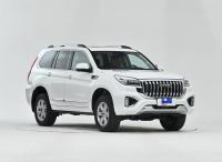 China HAVAL H9 2022 2.0T Gasoline 4WD Elite Version 5 Door 5 Seats SUV 224HP 385Nm for sale