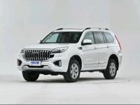 China Haval H9 2022 2.0T Gasoline Four Wheel Drive Mid Large SUV 5 Seats 7 Seats for sale