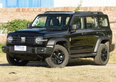 China WEY Tank 300 2023 2.0T 227HP L4 Challenger 5 Door Compact Off-Road SUV for sale