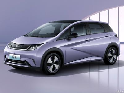 China BYD Dolphin 2023 420km Fashion Version Compact SUV Pure Electric 70kW 180Nm for sale