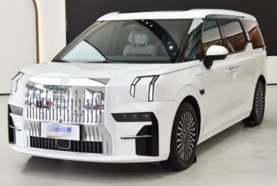 China ZEEKR 009 WE Version 2022 Pure Electric MPV 5 Door 6 Seats 5209mm 400kW for sale