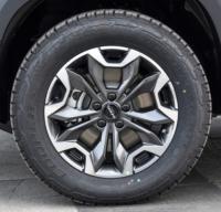 China Haval Dargo 2022 2.0T DCT 4WD Compact SUV 5 Door 5 Seats 155kW 325Nm for sale