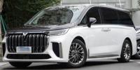 China VOYAH Dreamer 2022 Private Customized Low Carbon Version 5 Door 7 Seats MPV 5315mm Length for sale