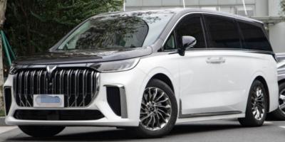 China VOYAH Dreamer 2022 Private Customized Low Carbon Version 5 Door 7 Seats MPV 5315mm Length for sale