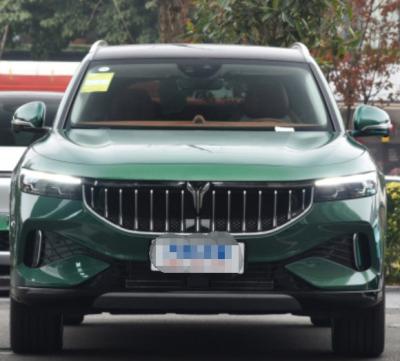 China VOYAH FREE 2023 4WD Extended Range SUV 205km EV Range 4905mm Length for sale