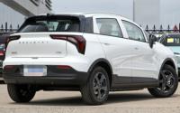 China Geely Geometry E 2022 410km Linglong Tiger 4 Seats Small Electric SUV 5 Door for sale