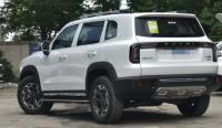 China Haval Dargo 2022 2.0T 211HP 4WD Compact SUV 5 Door 5 Seats Gasoline for sale