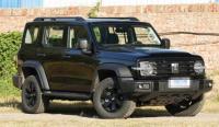 China 2023 Tank300 2.0T Off-road SUV 5 Door 5 Seats 227HP 387Nm 8AT for sale