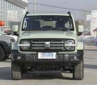 China 2023 Tank300 2.0T City Model Must Version Compact SUV 5 Door 5 Seats 227HP for sale