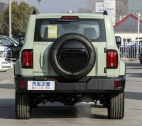 China 2023 Tank300 2.0T City Model Must Version Compact SUV 5 Door 5 Seats 227HP for sale