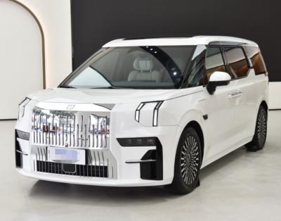 China ZEEKR 009 WE 2022 6-Seat Pure Electric MPV 702km CLTC Range 400kW Dual Motor for sale