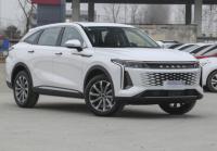 China 2023 Exeed Stellar 400T 2.0T Petrol Used SUV 5 Door 5 Seats 261HP 400Nm for sale