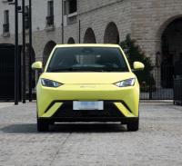 China 2023 BYD Seagull Fly Edition Pure Electric 4 Seats Hatchback 405km Range 55kW for sale
